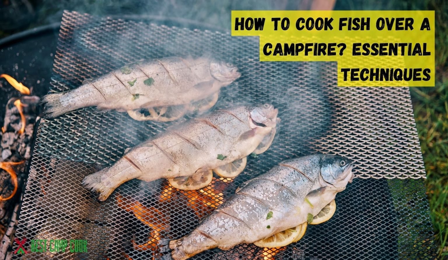 How to Cook Fish Over a Campfire? Essential Techniques
