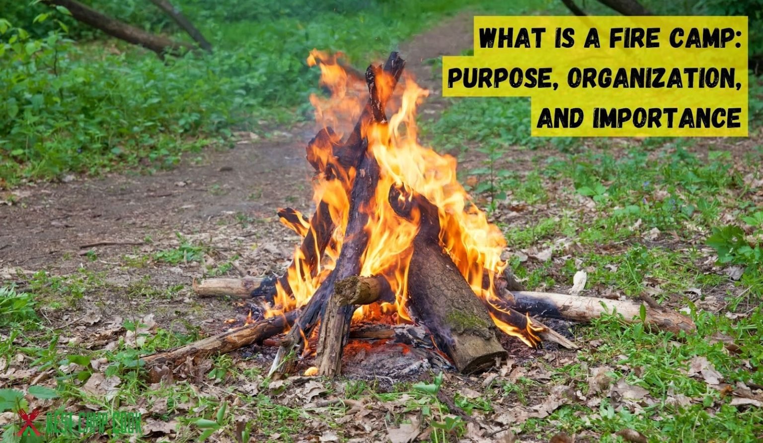 What is a Fire Camp? Purpose, Organization, and Importance